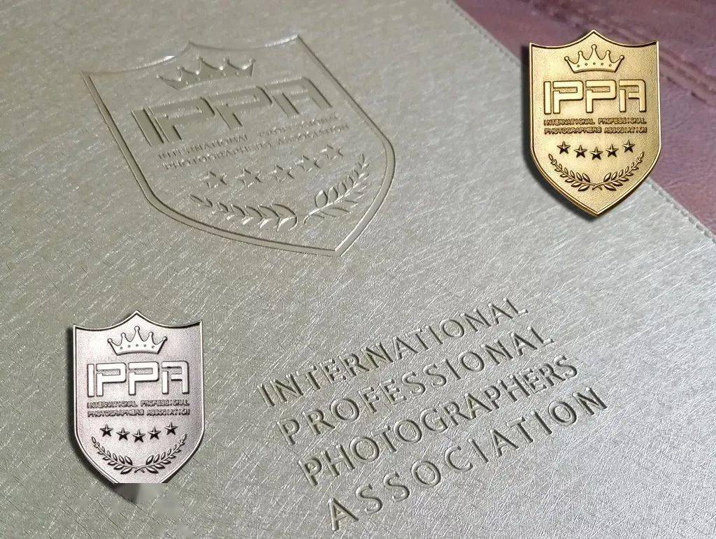 如果只知道视频中的IPPA数字，如何找到对应的视频？ - 心流